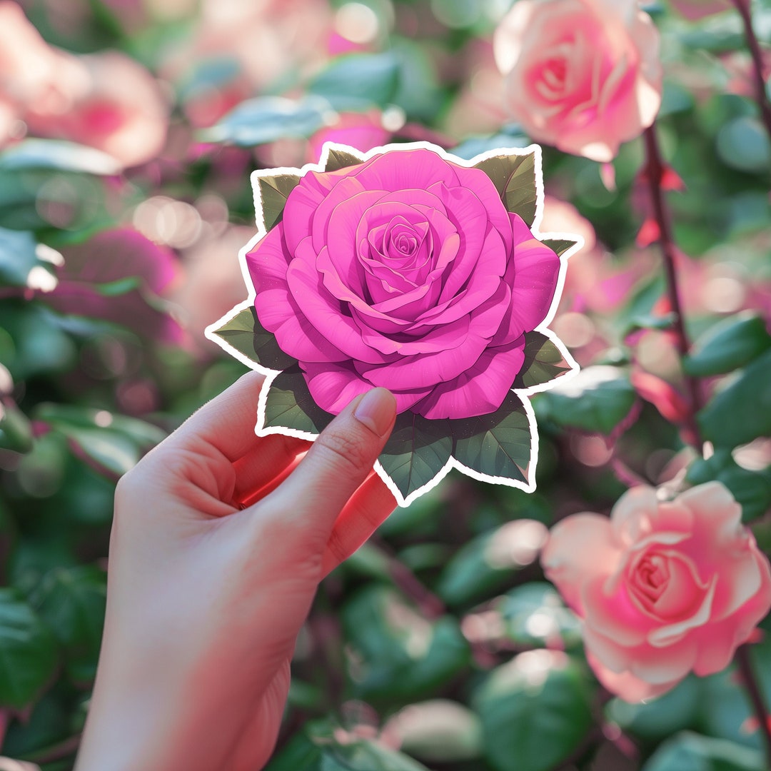 Pink Rose Sticker, Rose Sticker, Valentines Day Sticker, Valentines Day ...
