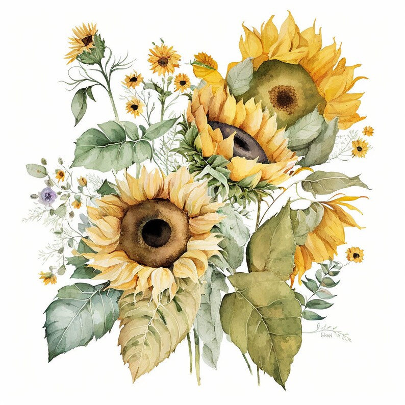 Watercolor Sunflower Clipart, Floral Bouquets, Fall Sunflowers ...