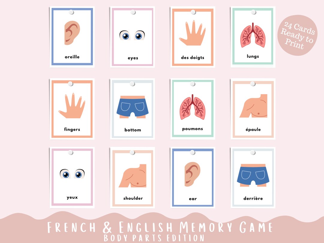 French/english Memory Game Body Parts Human Body Toddler - Etsy