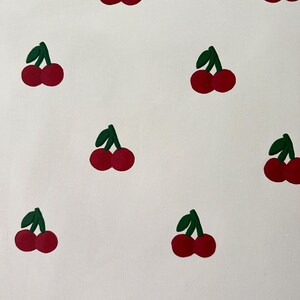 Hand-painted Cherry Wall Art – Minimalist Cherry Canvas Décor – Modern ...