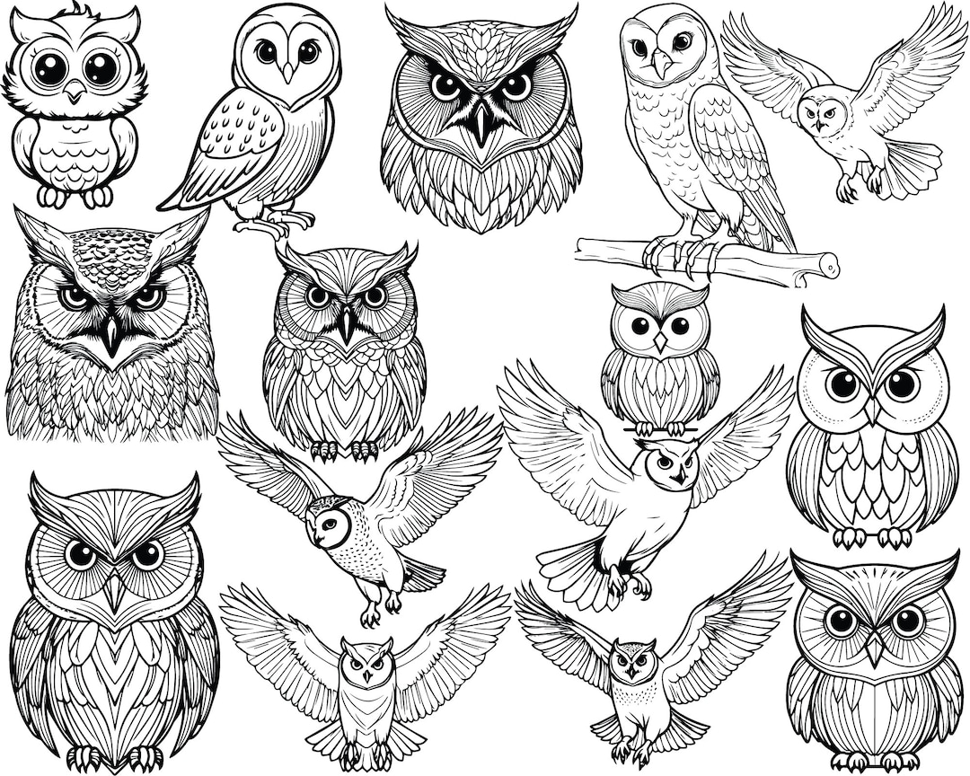 Owl Bird Themed Svgs File Pack! *very High Quality* *TONS of Designs ...