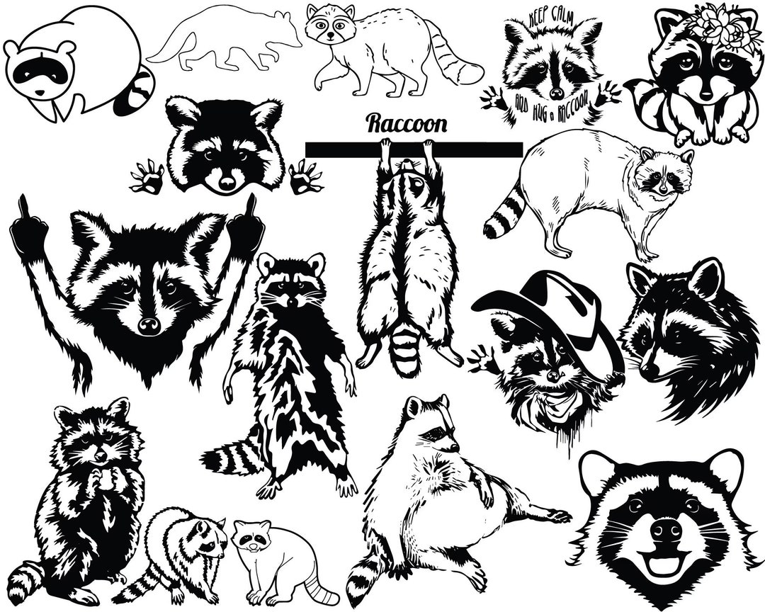 Super Funny Racoon Svgs File Pack! *highest Quality* Trash Pandas!! - Etsy