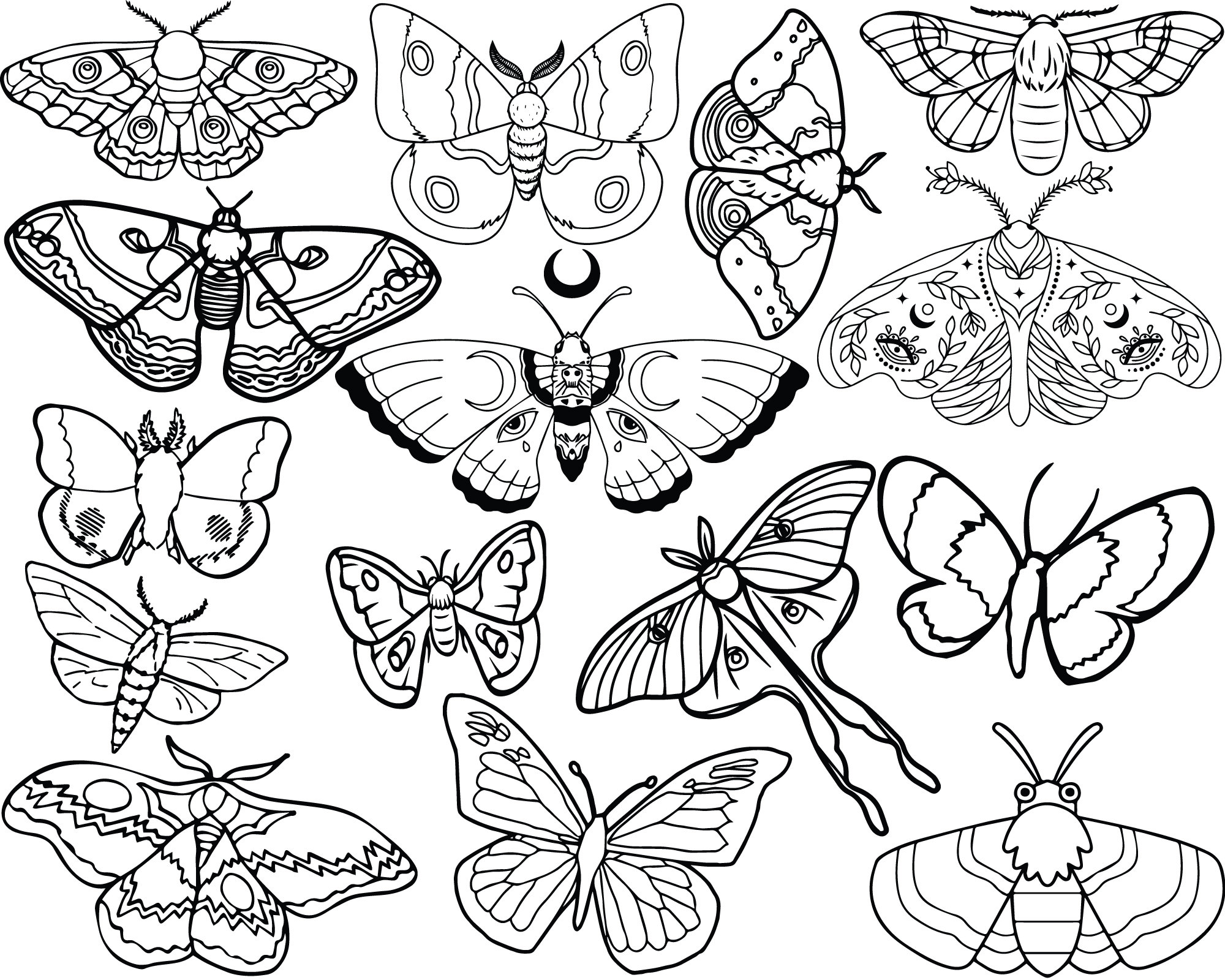 Awesome / Cool / Pretty Moth Themed Svgs File Pack! (highest Quality ...