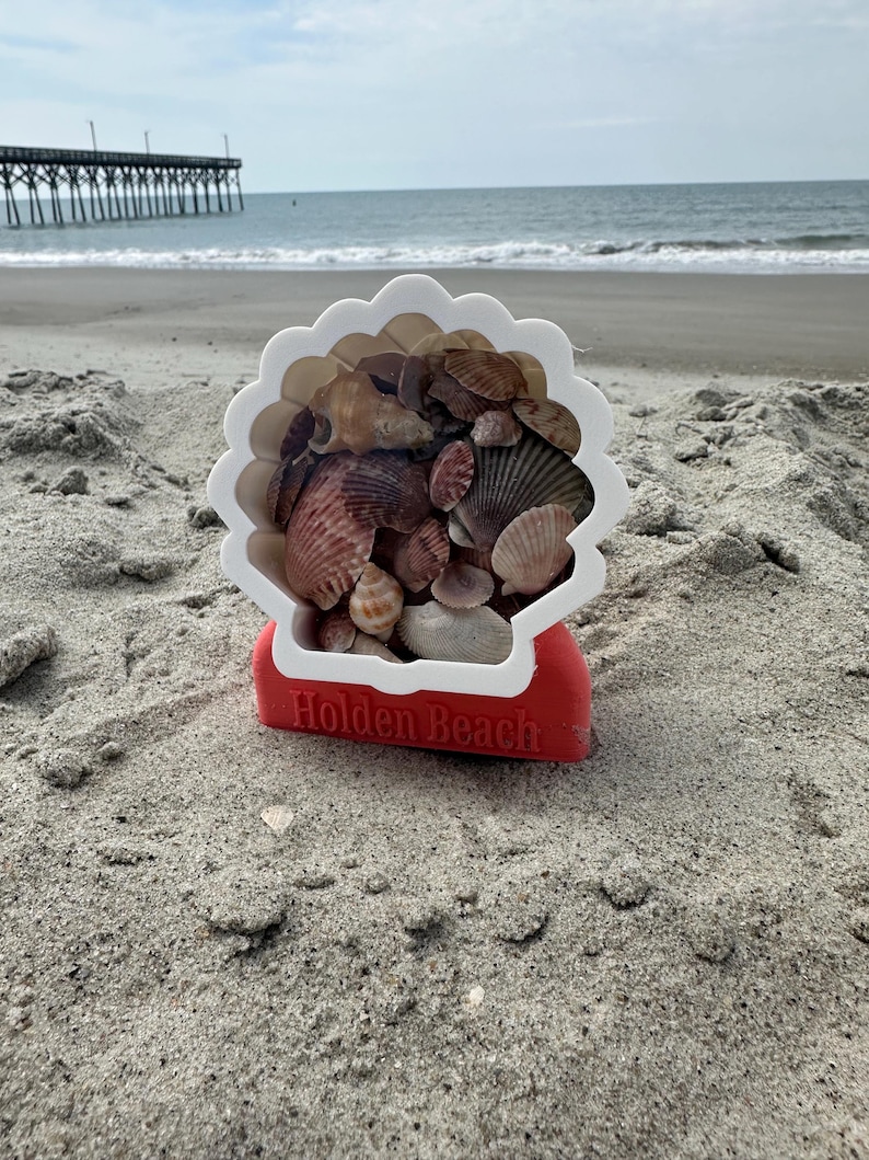 Seashell Holder Custom Display Box - Etsy