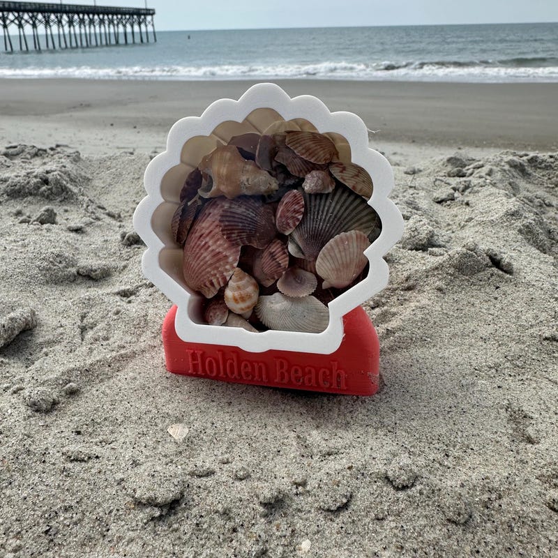 Seashell Display Box - Etsy