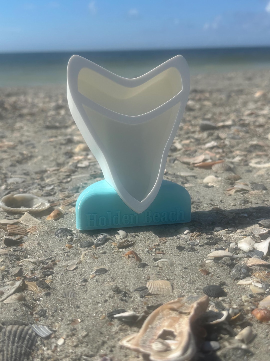 Shark Tooth Holder Custom Display Box - Etsy