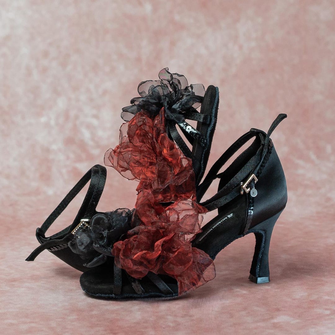 Dasha Latin Dance Shoes – Dancesport Heels for Ballroom, Salsa, Bachata ...