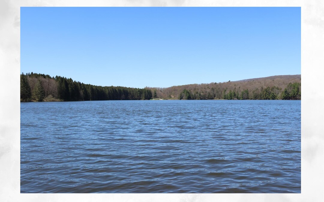 Lake Print, Peaceful Escape Art, Forest Water Photography, Nature Decor ...