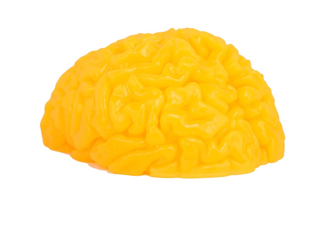 Custom Molded Platinum Silicone Brain Sculpture - Neon ORANGE ...