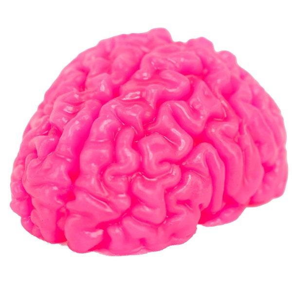 Brain Sculpture - Etsy