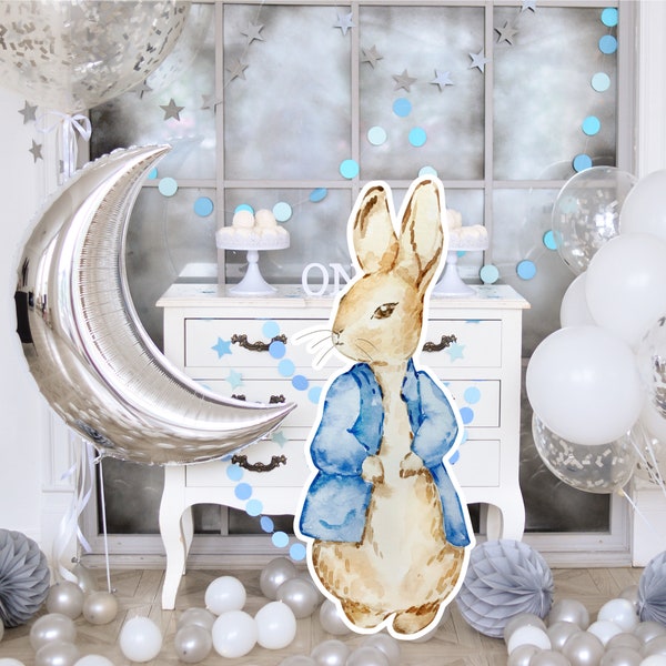 Peter Rabbit Prop - Etsy