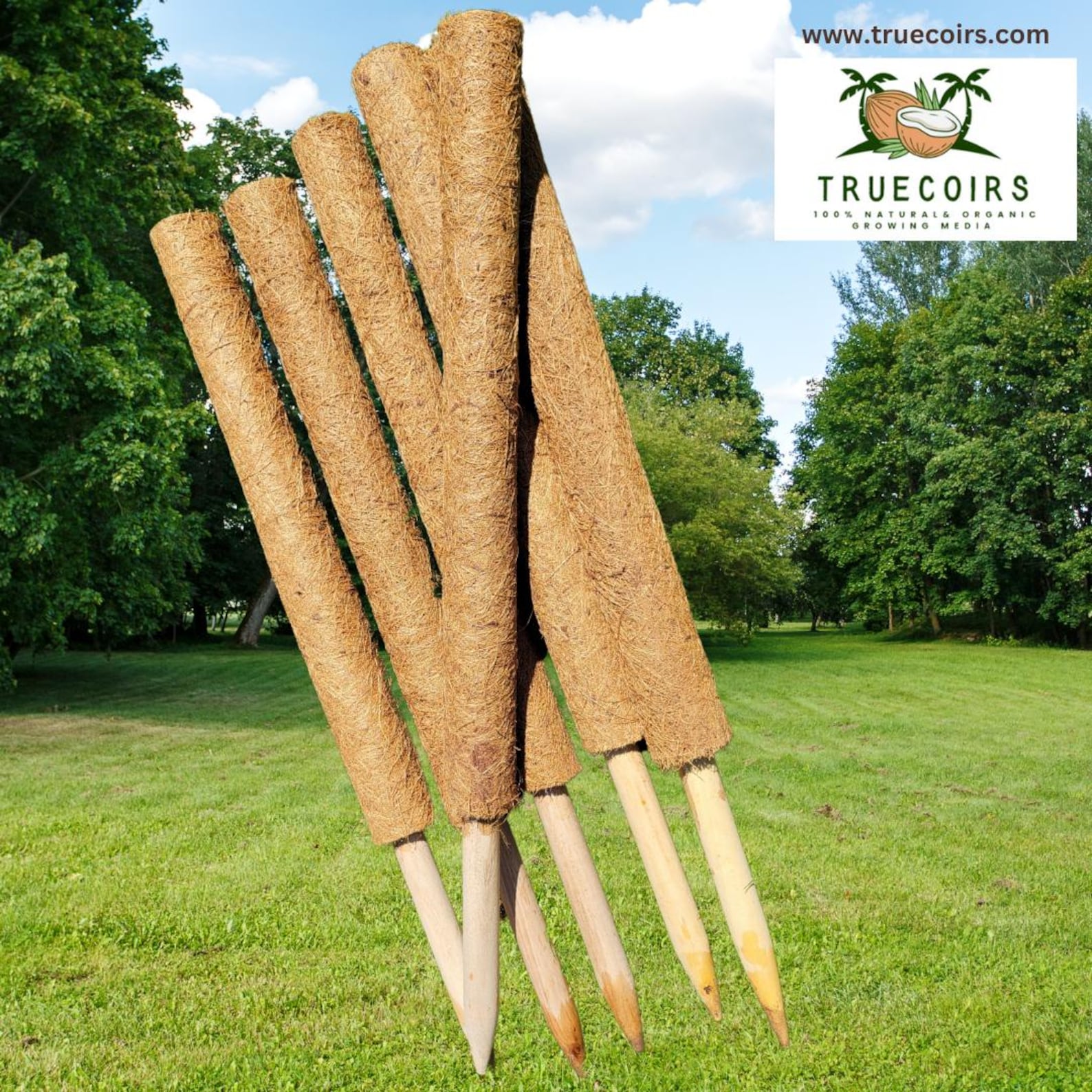 Coco Coir Plant Poles (pack of 6) – 24" Climbing Support Stakes - Etsy