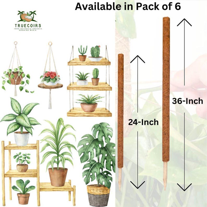 Coco Coir Plant Poles (pack of 6) – 24" Climbing Support Stakes - Etsy