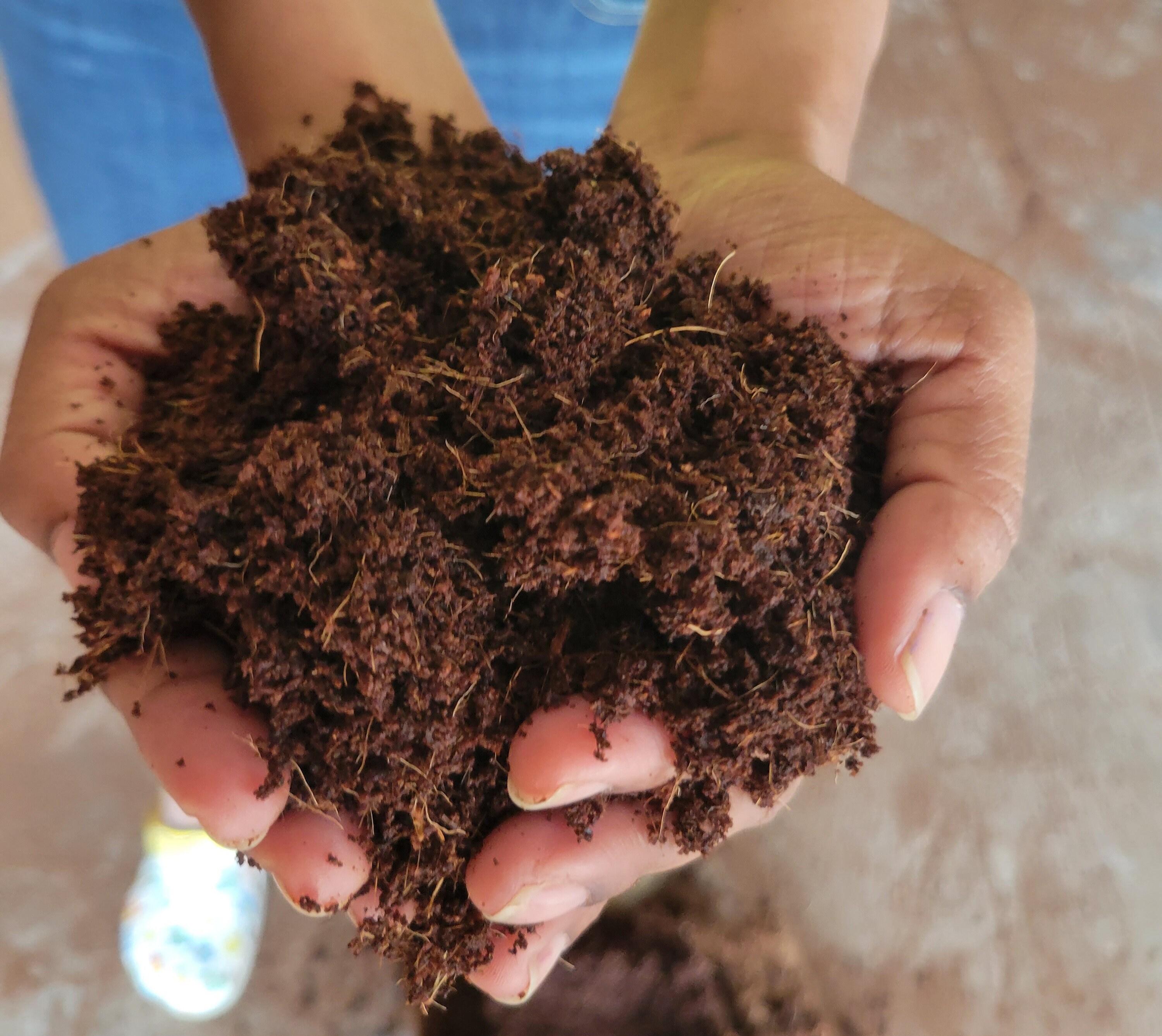 100% Natural and Organic Coco Coir /pith Compressed Blocks - High ...
