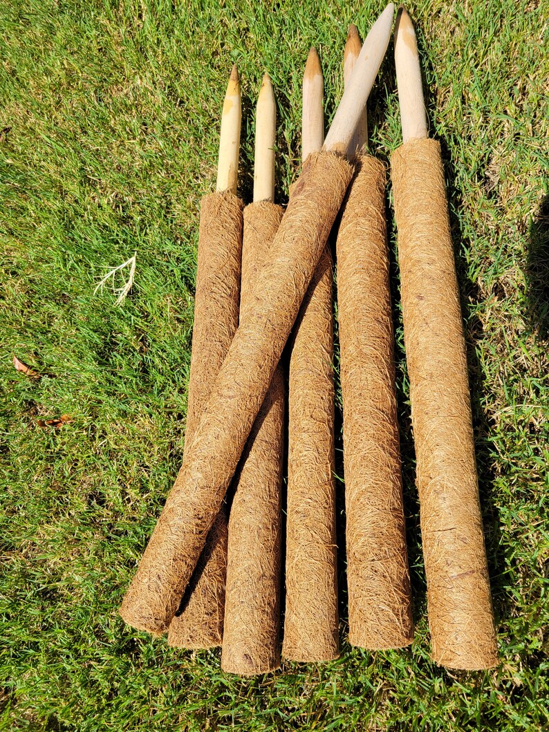 Coco Coir Plant Poles (pack of 6) – 24" Climbing Support Stakes - Etsy