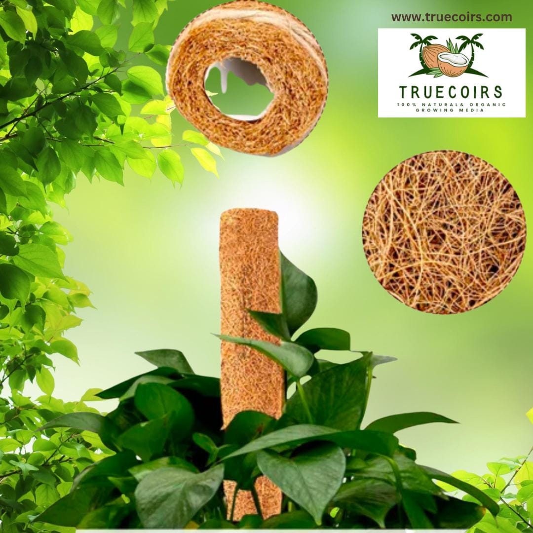 Pack of 6 Coco Coir Pole- Plants Monstera 24" Sized Poles for Climbing ...
