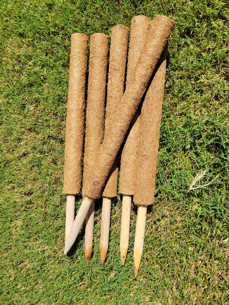 Pack of 6 Coco Coir Pole- Plants Monstera 24" Sized Poles for Climbing ...