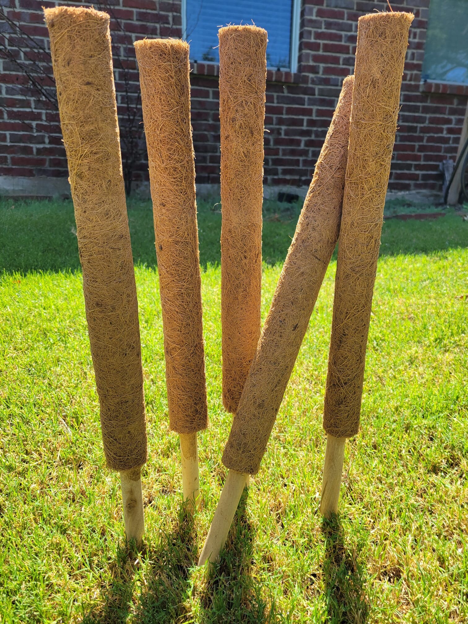 Pack of 6 Coco Coir Pole- Plants Monstera 24" Sized Poles for Climbing ...
