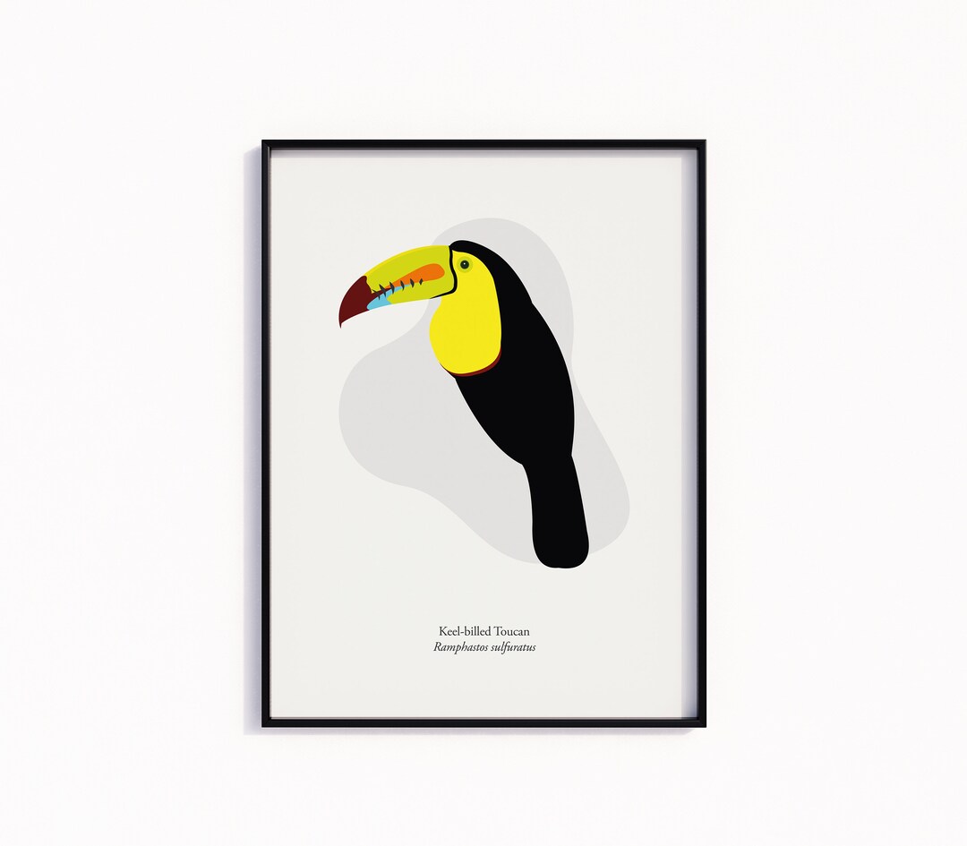 Keel-billed Toucan Printable Art / Ramphastos Sulfuratus / Minimalist ...