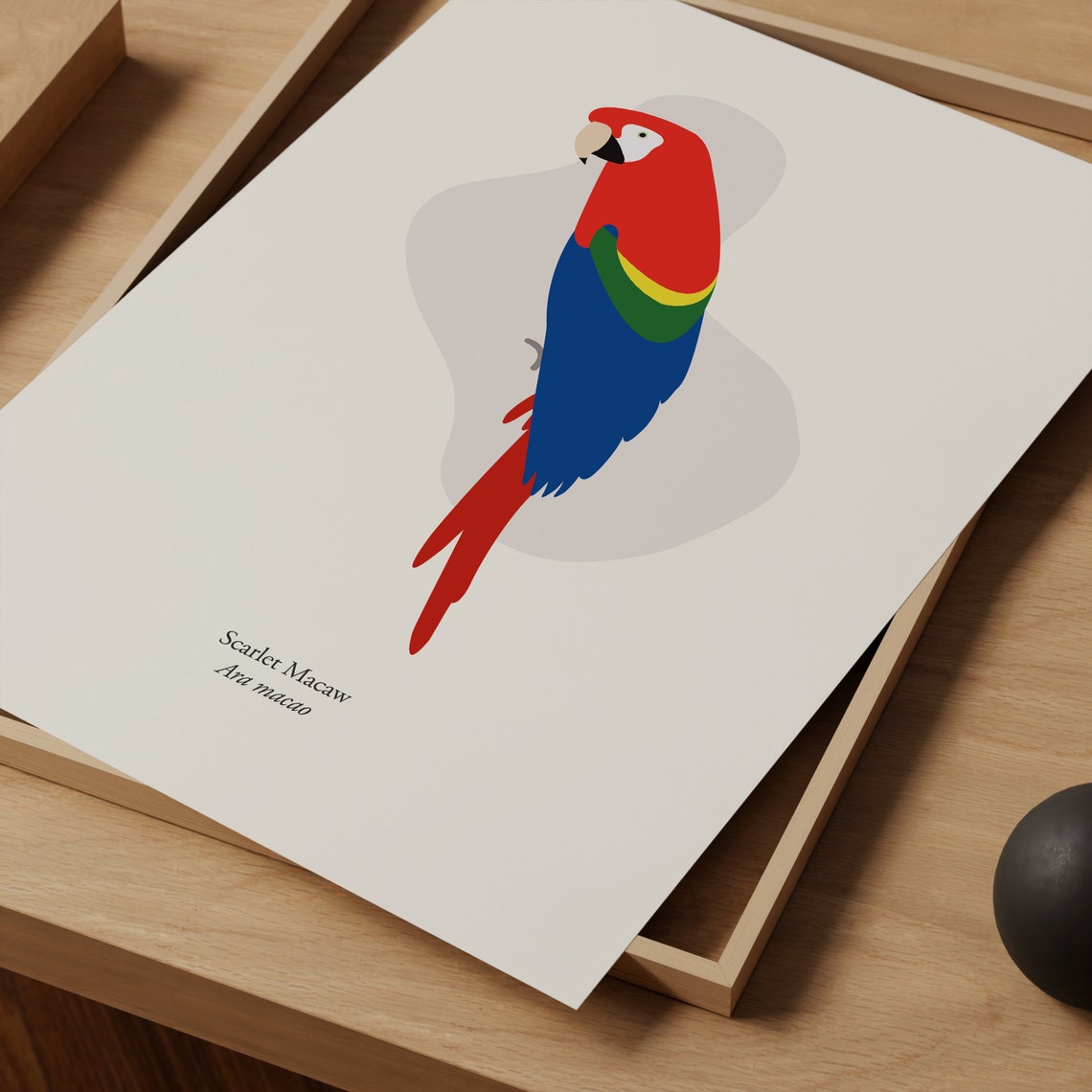 Scarlet Macaw Printable Art / Ara Macao / Minimalist Bird Art ...