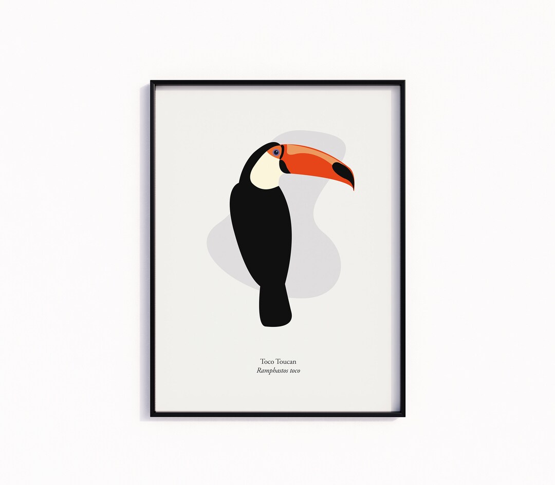 Toco Toucan Printable Art / Ramphastos Toco / Minimalist Bird Art ...