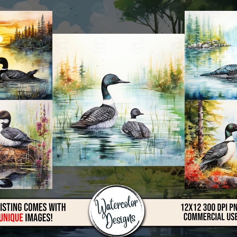 Loon Painting - Etsy