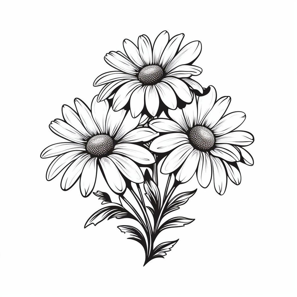 Daisy Tattoo Designs Outline PNG Daisy Flower Tattoo Flash | Tattoo ...