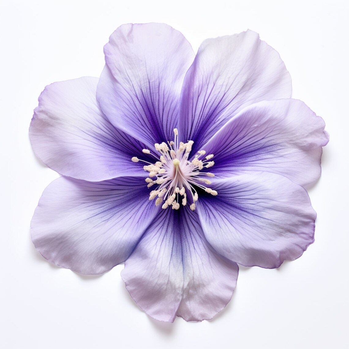 Violet Flower Tattoo Outline PNG Violet Flower Tattoo Flash Tattoo ...