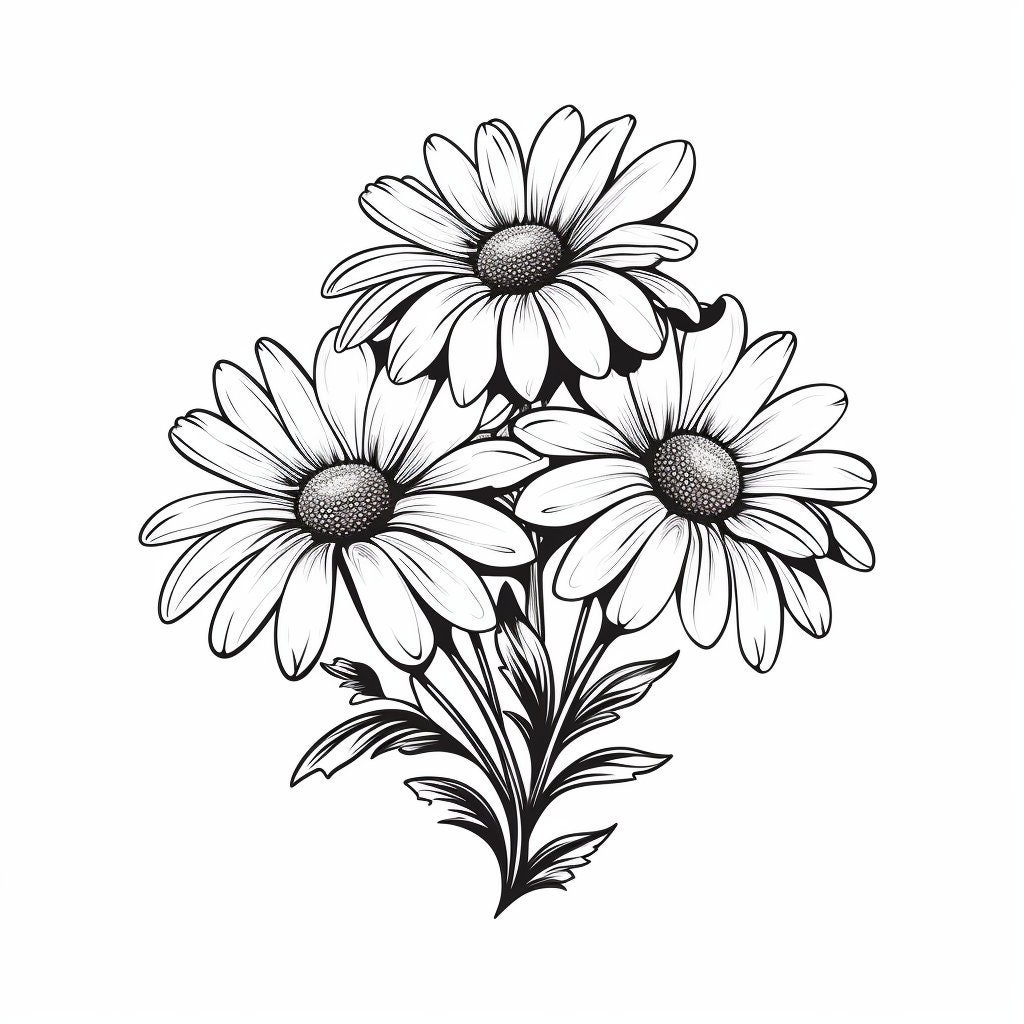 Daisy Tattoo Designs Outline PNG Daisy Flower Tattoo Flash | Tattoo ...