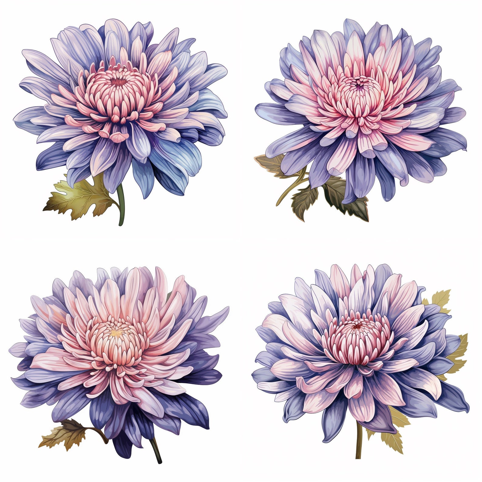 Aster Flower Tattoo PNG | September Birth Month Flower | Blue, Purple ...
