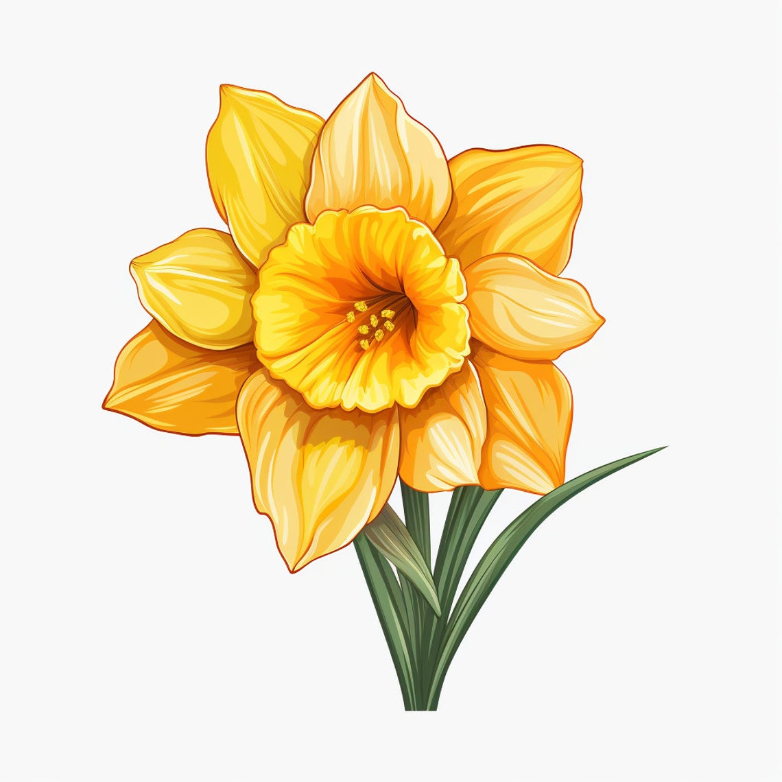 Daffodil Flower Tattoo Outline PNG Daffodil Flower Tattoo Flash ...