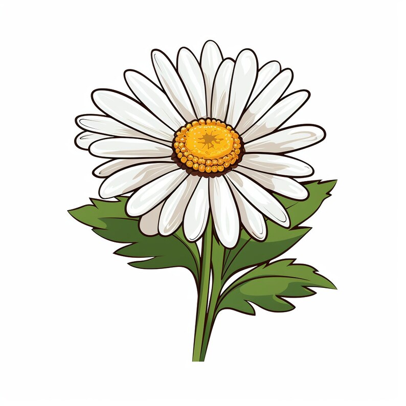 Daisy Tattoo Designs Outline PNG Daisy Flower Tattoo Flash | Tattoo ...