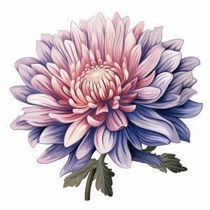Aster Flower Tattoo PNG | September Birth Month Flower | Blue, Purple ...