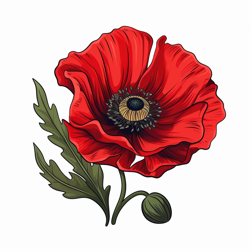 Red Poppy Flower Tattoo PNG | Red Poppy Tattoo | Tattoo Flash Digital ...