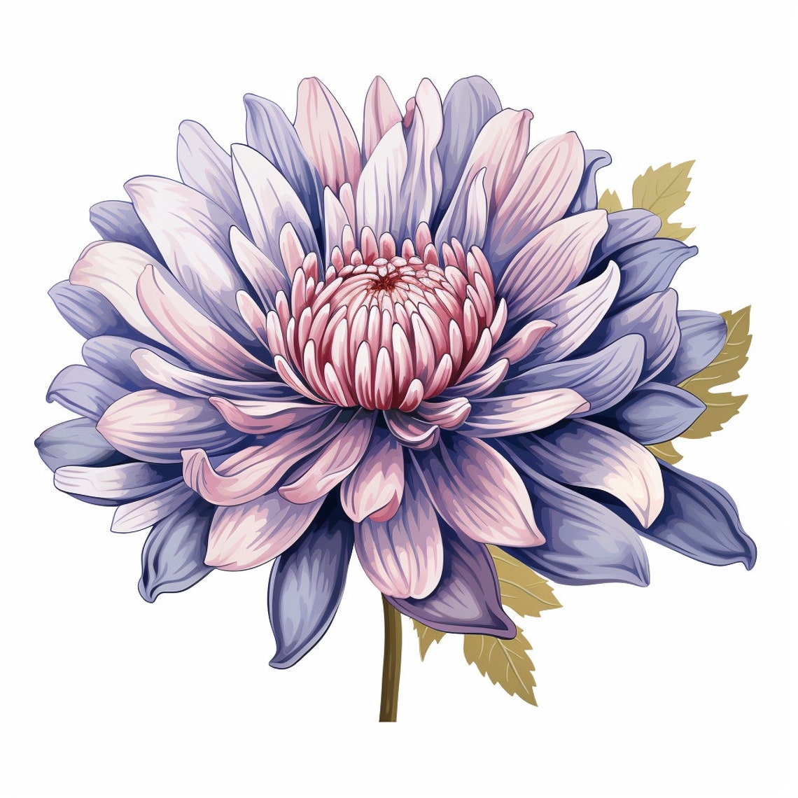 Aster Flower Tattoo PNG September Birth Flower Tattoo Aster Tattoo ...