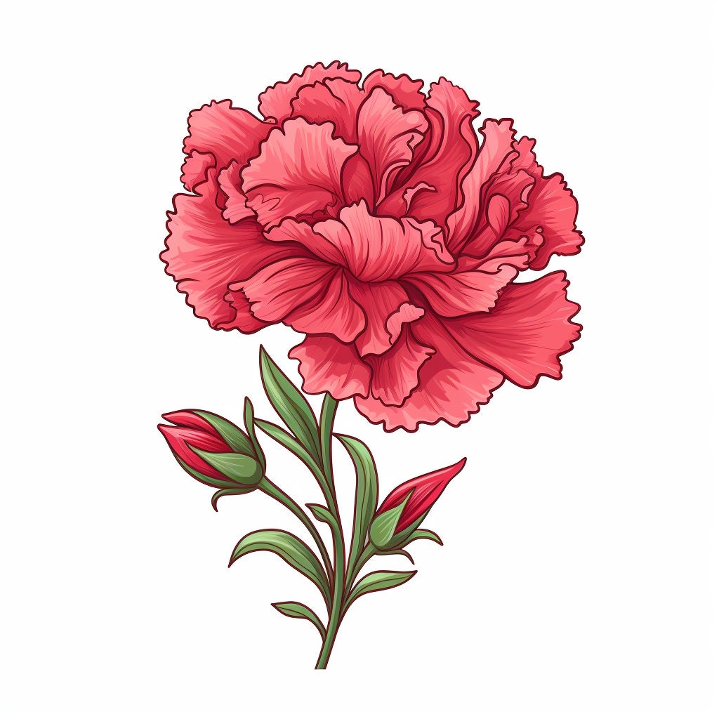 Carnation Tattoo Design, Birth Flowers Tattoo, Carnation Flower Tattoo ...