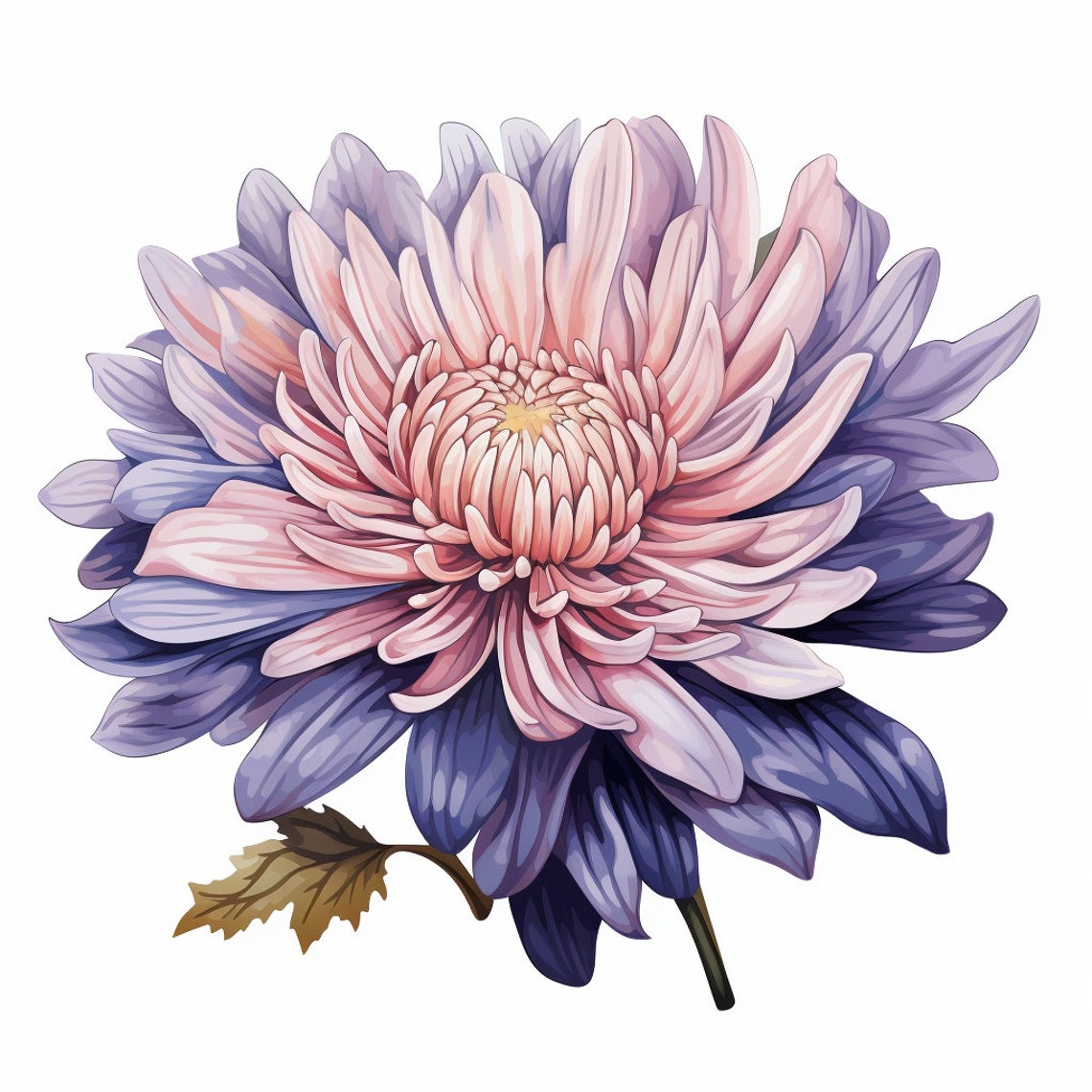 Aster Flower Tattoo PNG September Birth Flower Tattoo Aster Tattoo ...