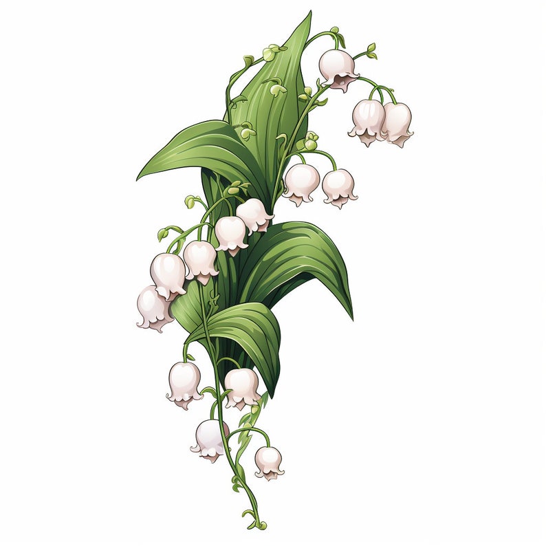 Lily of the Valley Tattoo Design, Lily of the Valley PNG, Digital ...