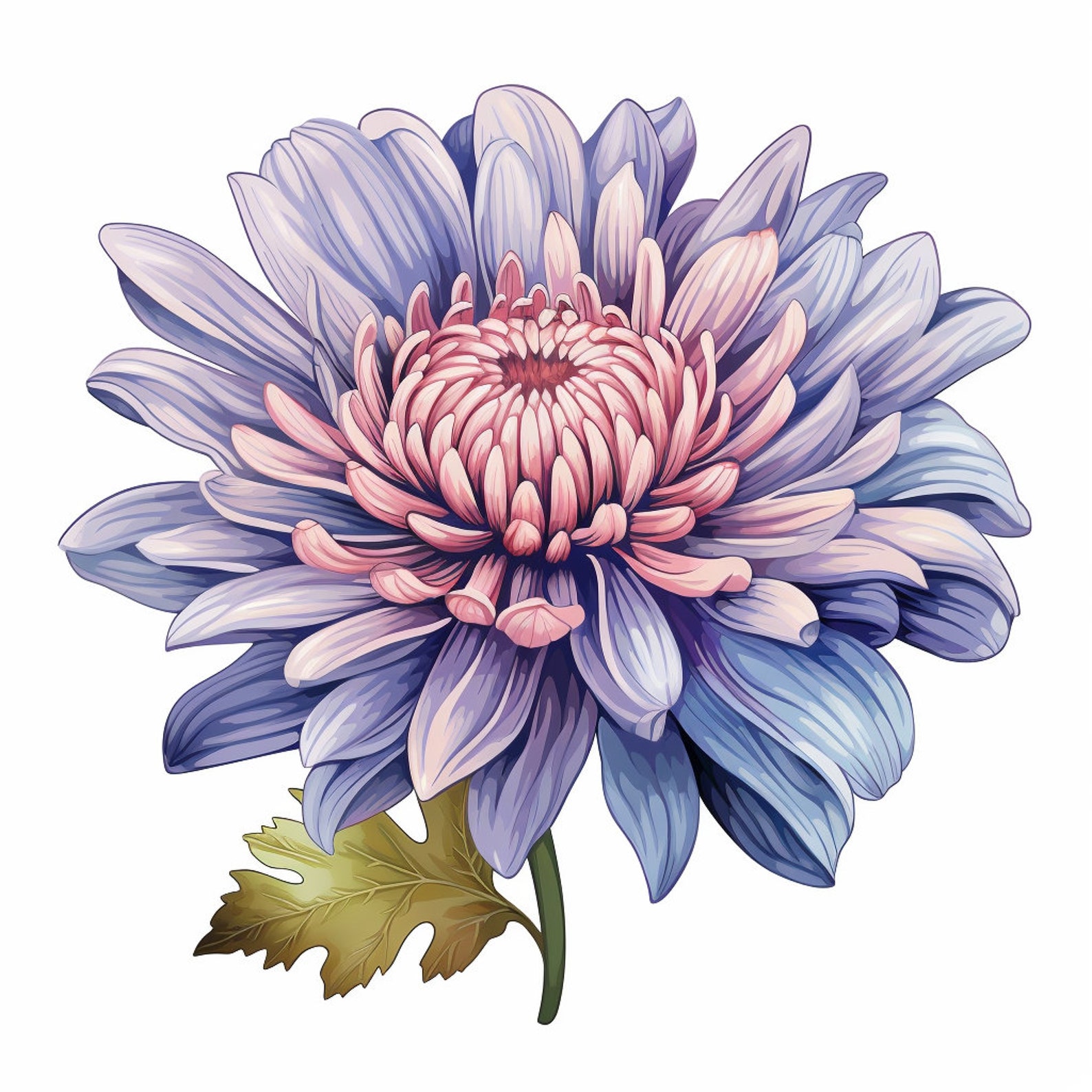 Aster Flower Tattoo PNG | September Birth Month Flower | Blue, Purple ...