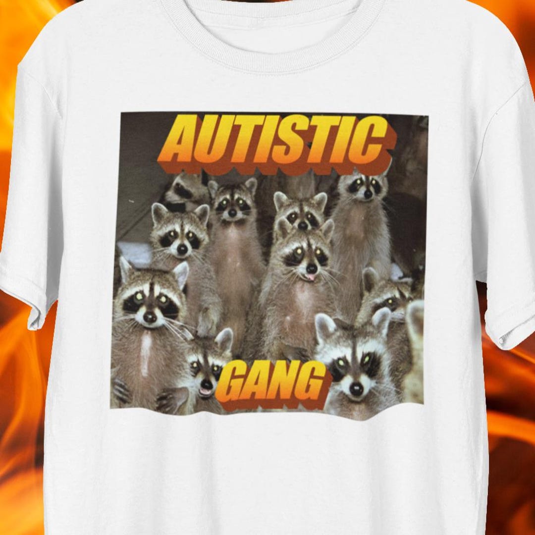 Autistic Gang Funny Meme Shirt, Autism Humor Raccoon Hilarious Shirt ...