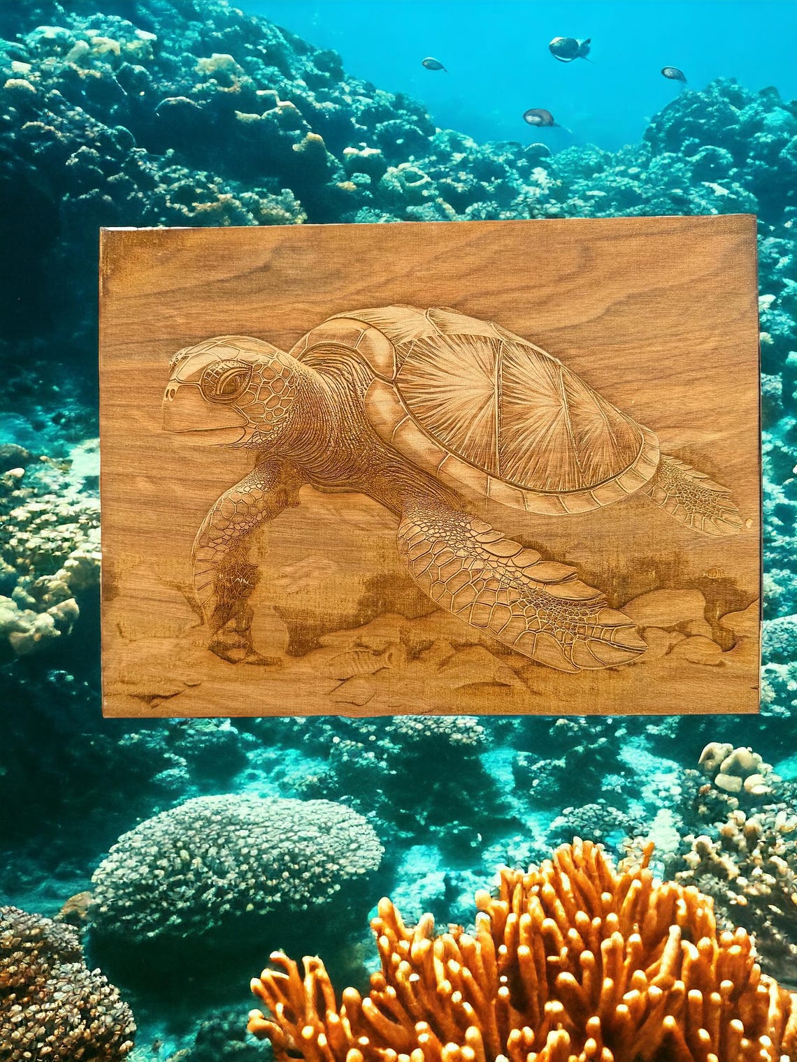 Loggerhead Turtle Under the Sea 3D Illusion Wood Engraving - Etsy
