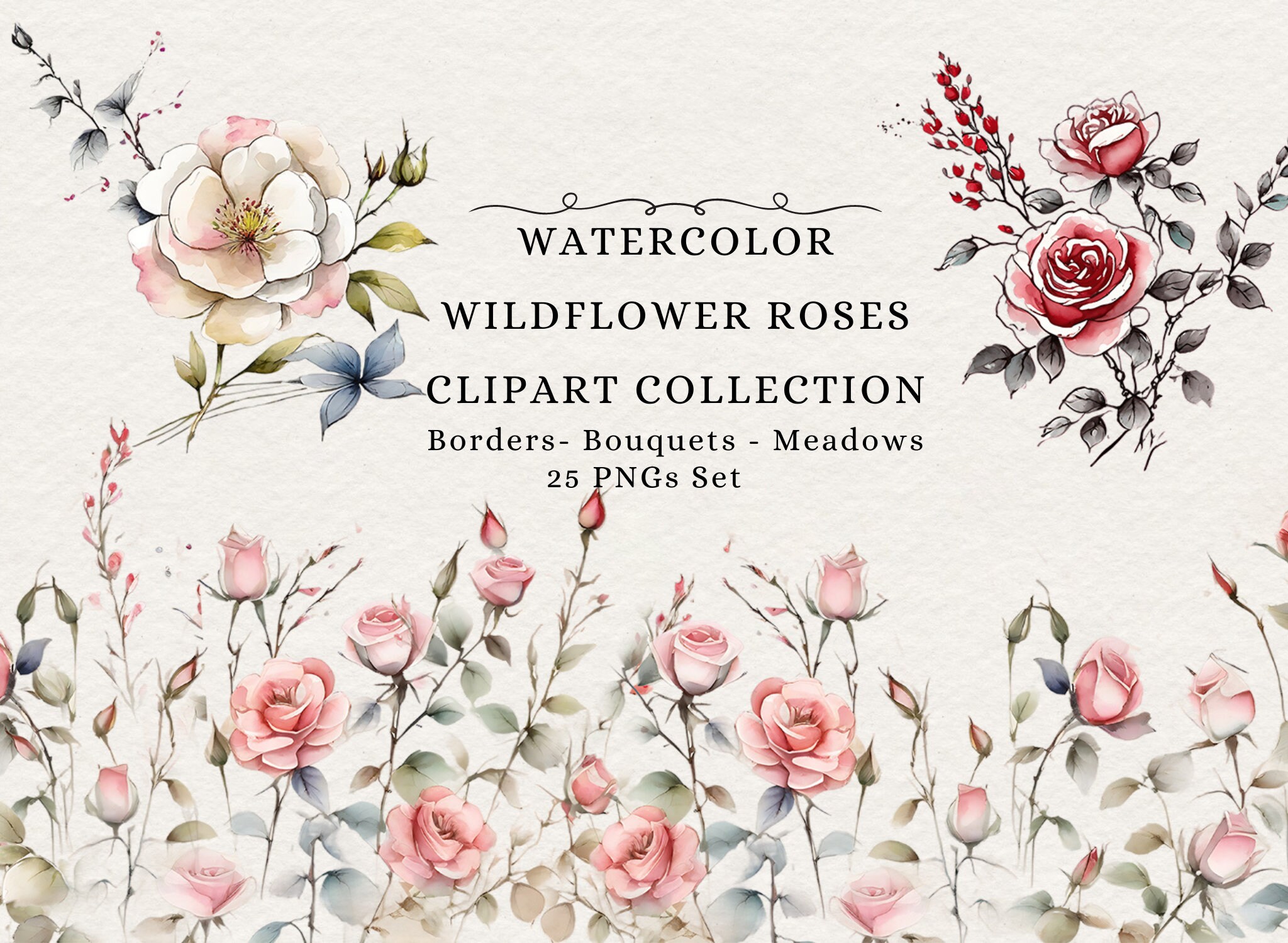 Watercolor Roses Clipart Flowers Borders Wildflower Roses - Etsy