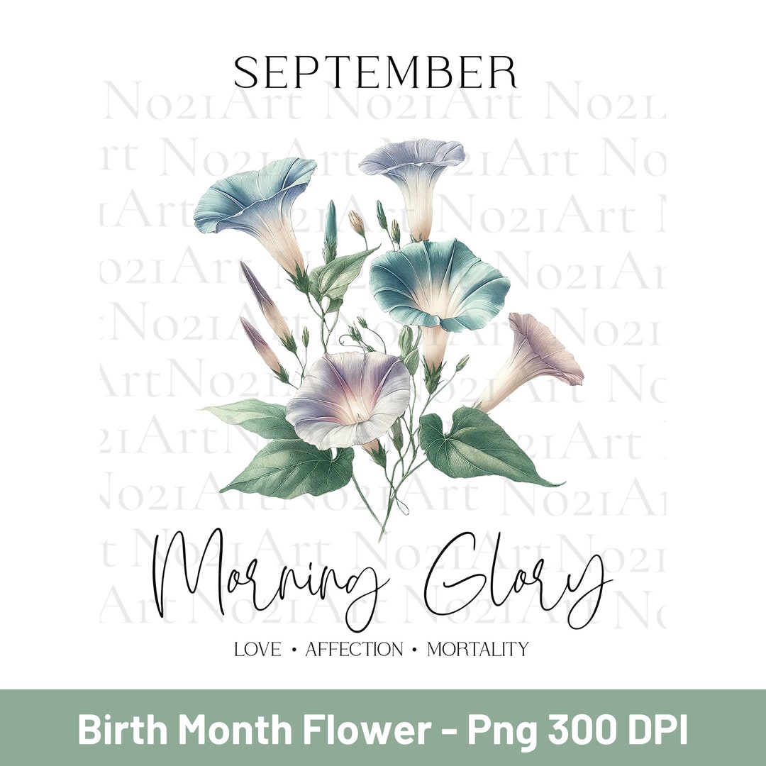 September Birth Month Flower Clipart, Floral PNG, DIY Birth Month ...
