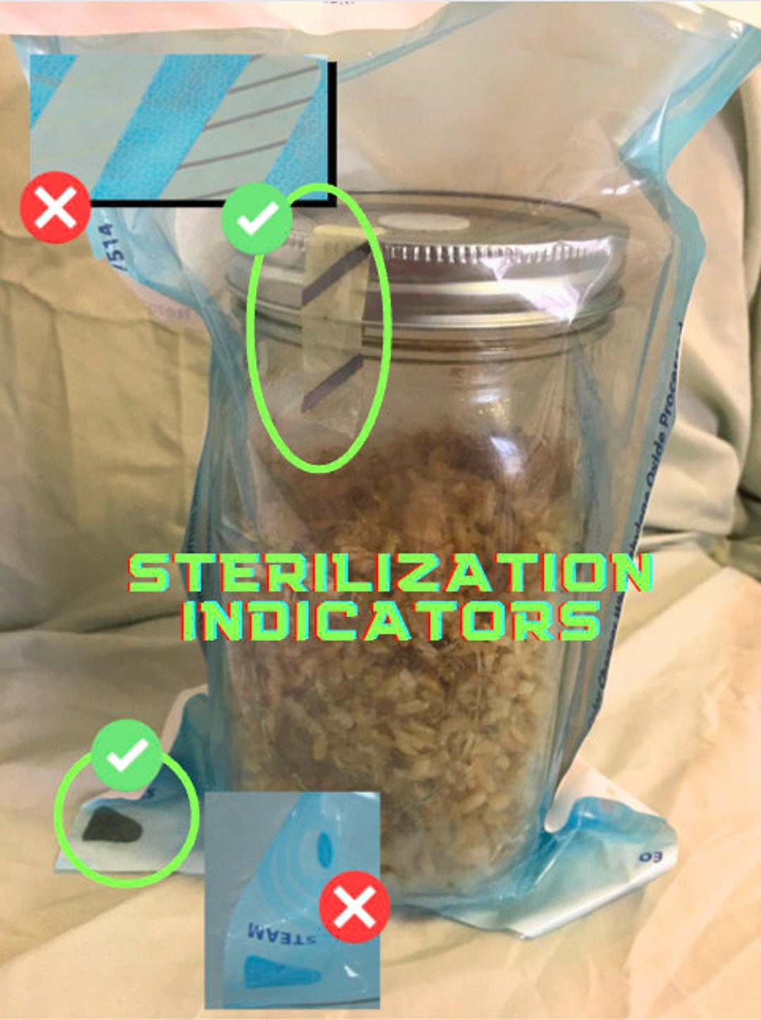 6-pack Sterile Substrate/brf/grain Jars - Etsy