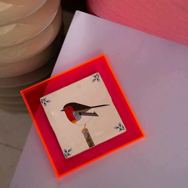 Funky Fish Sea Bass in White in neon Colored Acrylic Frame - Etsy