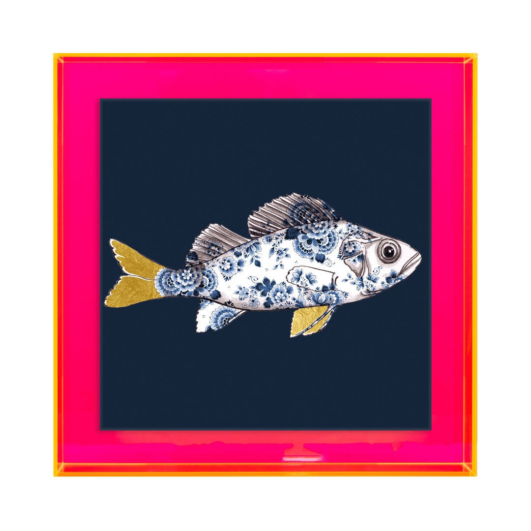 Funky Fish Sea Bass in Blue in (neon) Colored Acrylic Frame - Etsy