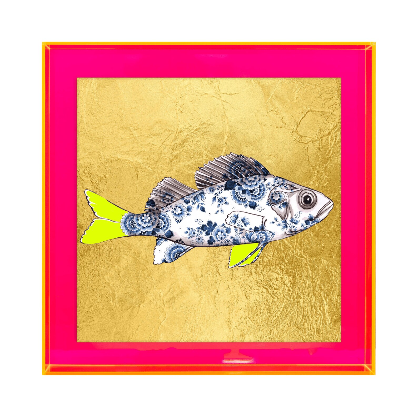 Funky Fish Sea Bass in Gold in (neon) Colored Acrylic Frame - Etsy