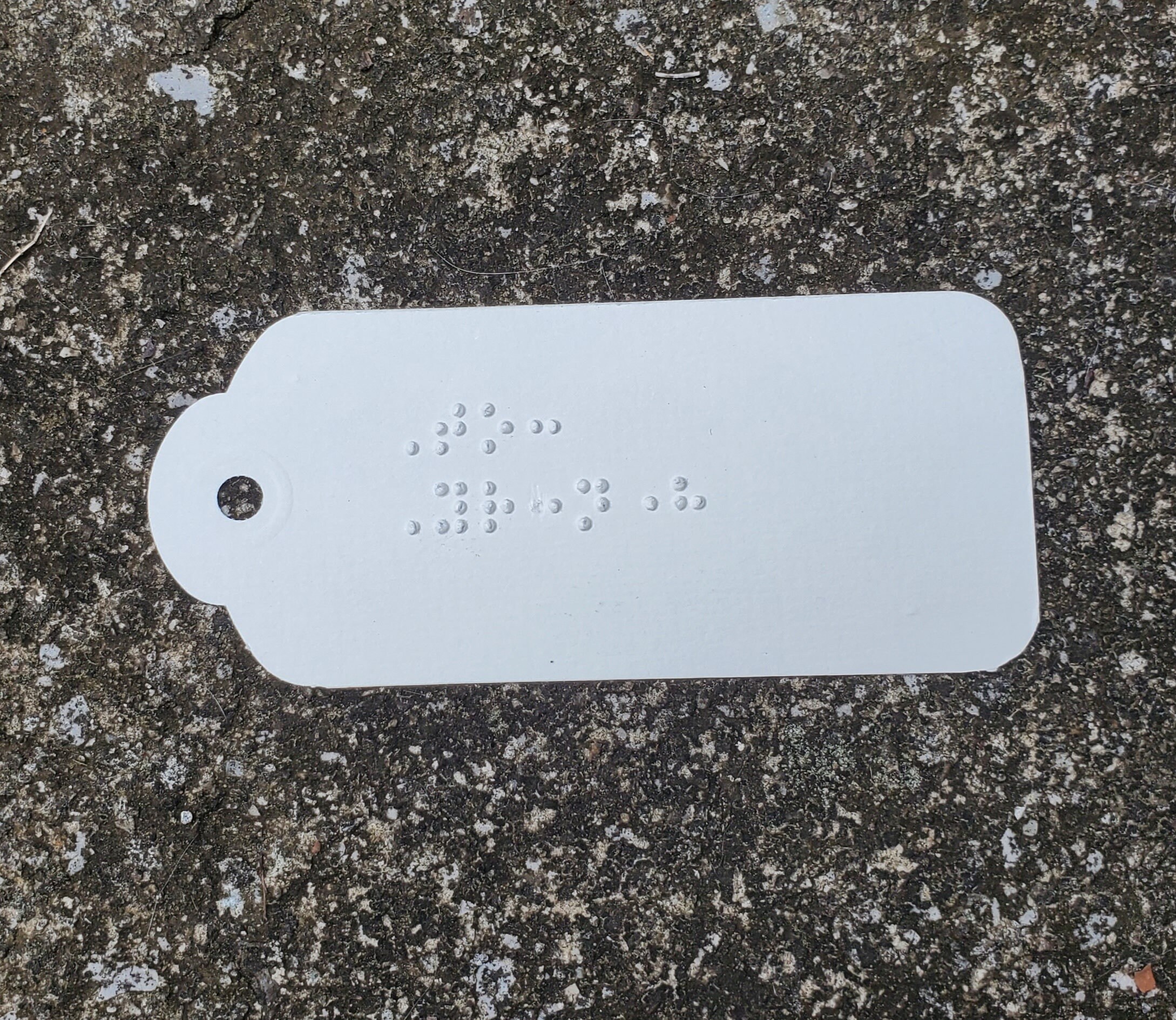 Custom Braille Gift Tags - Three Sizes Available, Great for Holidays ...