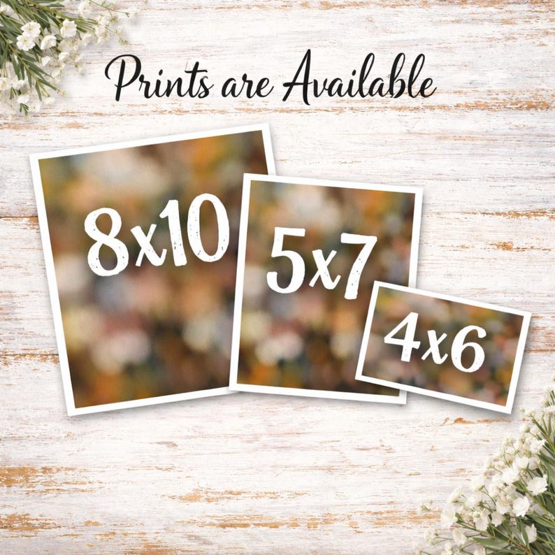 Custom Name Letter Wall Art, Boho Nursery Alphabet (4x6, 5x7, 8x10 ...