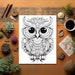 25 Owl Coloring Pages | Digital Coloring Pages | Digital Download Art ...